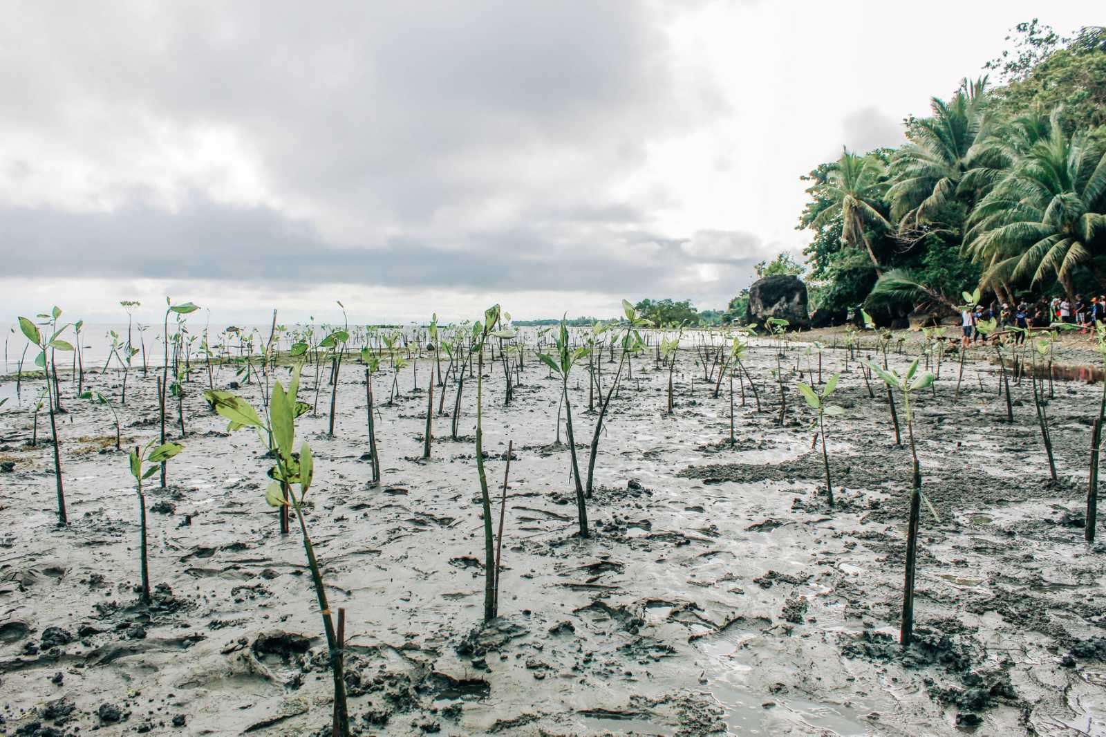 Climate Response Archives - Globalport Terminals, Inc.