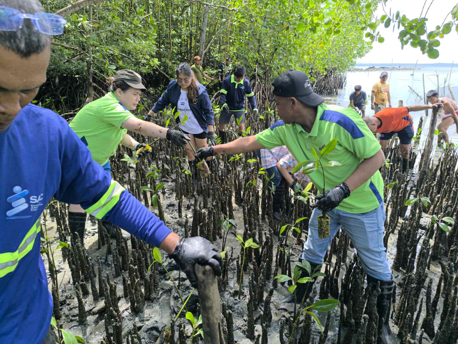 Protecting Our Shores: Globalport Davao and Partners Plant Thousands of Mangroves - Globalport ...