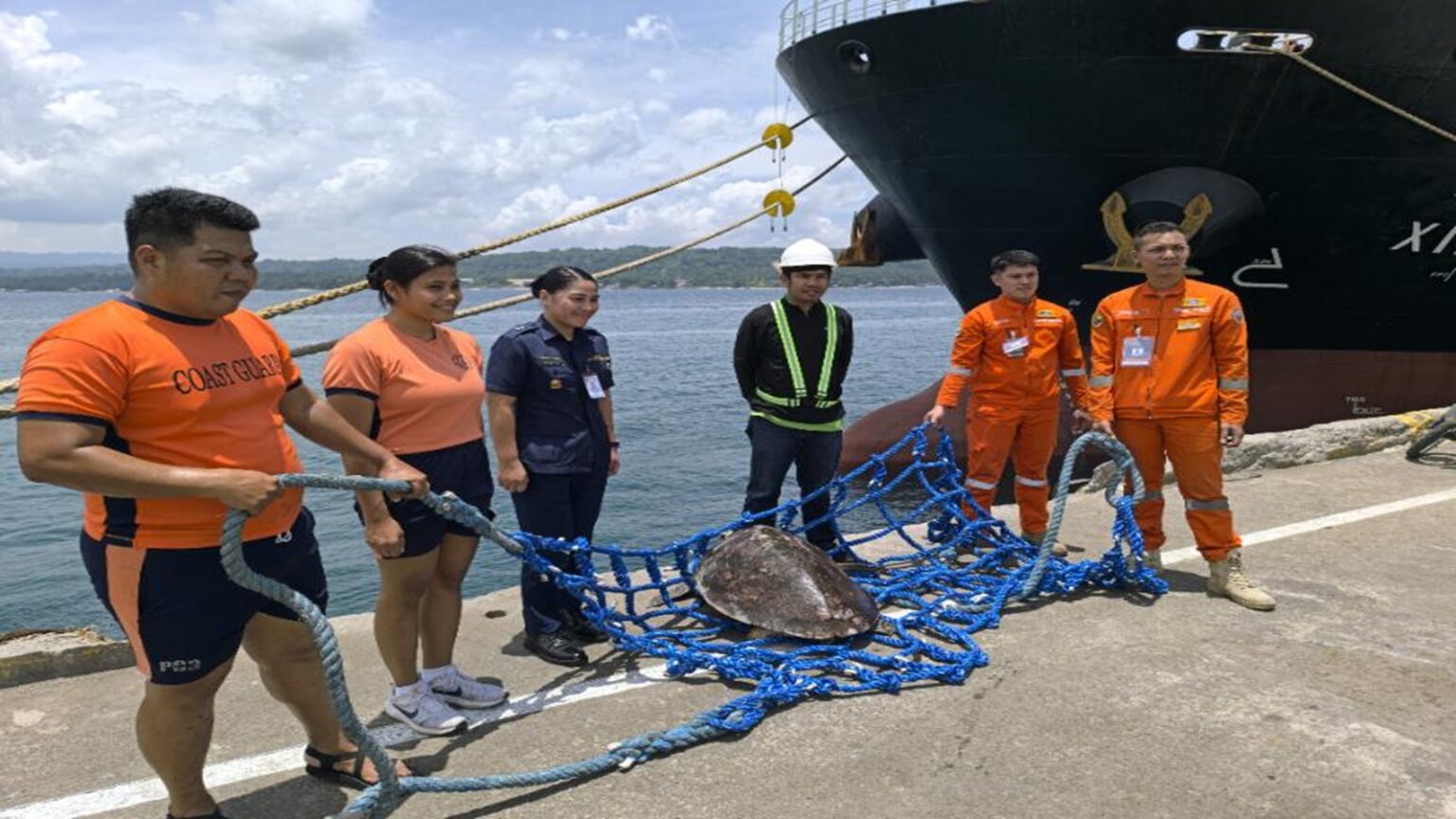 Marine Conservation Win: Entangled Hawksbill Sea Turtle Freed Near ...