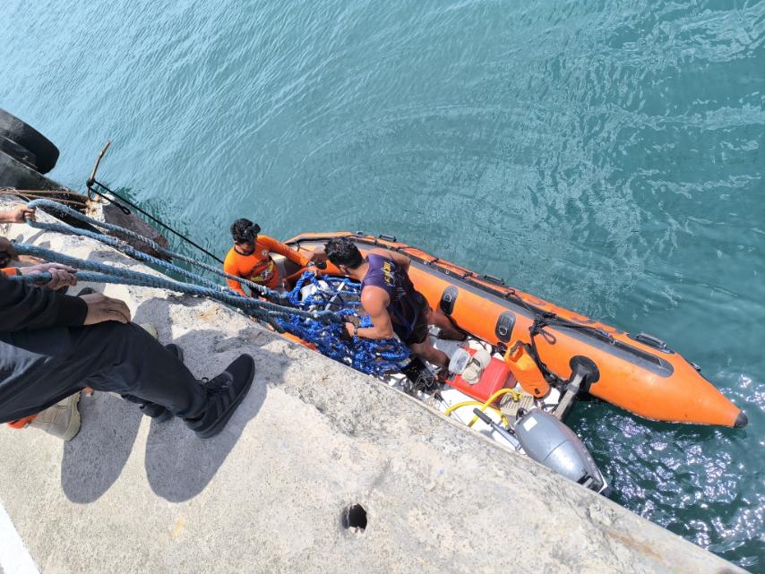 Marine Conservation Win: Entangled Hawksbill Sea Turtle Freed Near ...